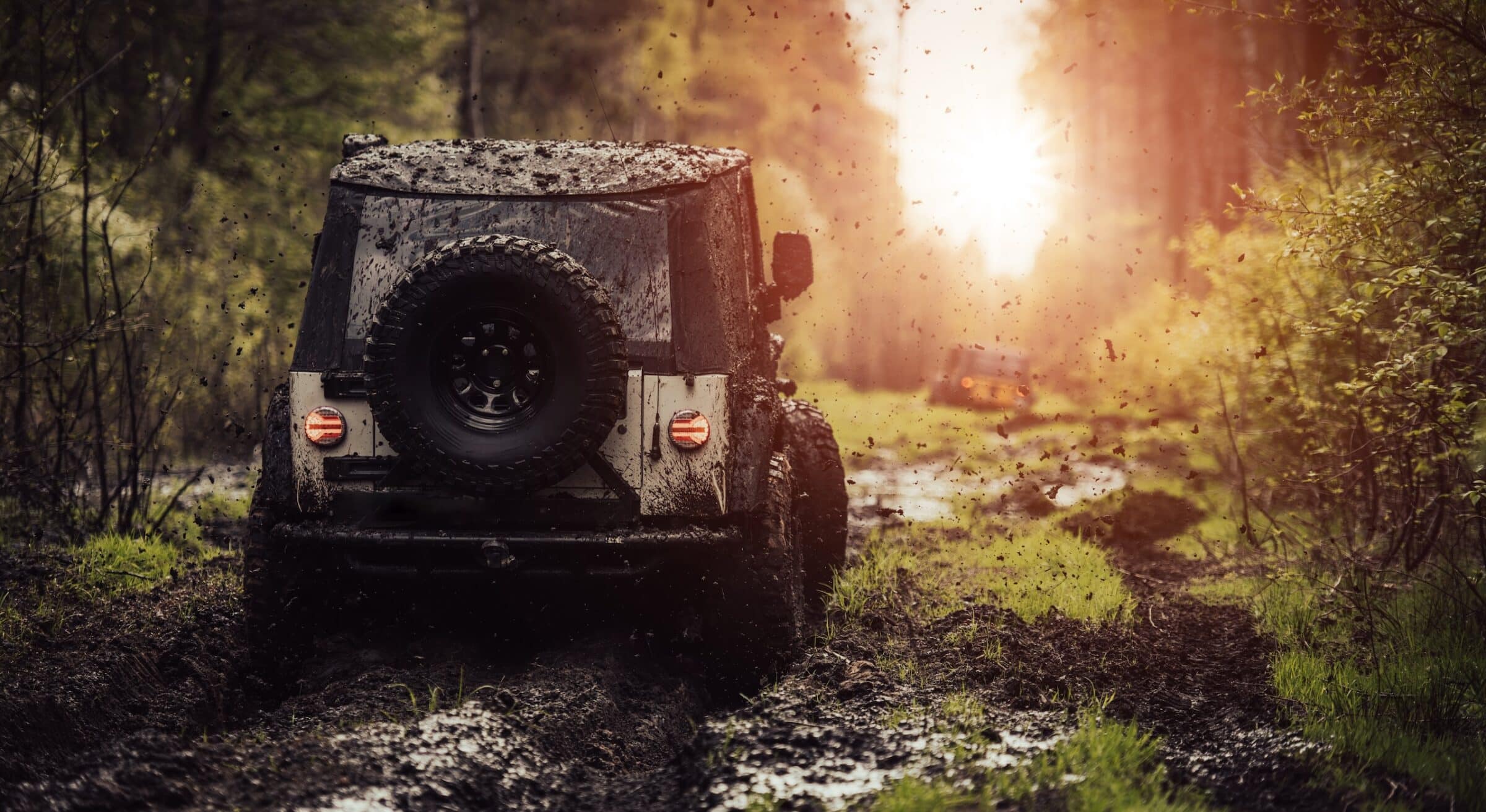 Beginner’s Guide to Offroad Driving: Conquer the Wild - Weigh Safe